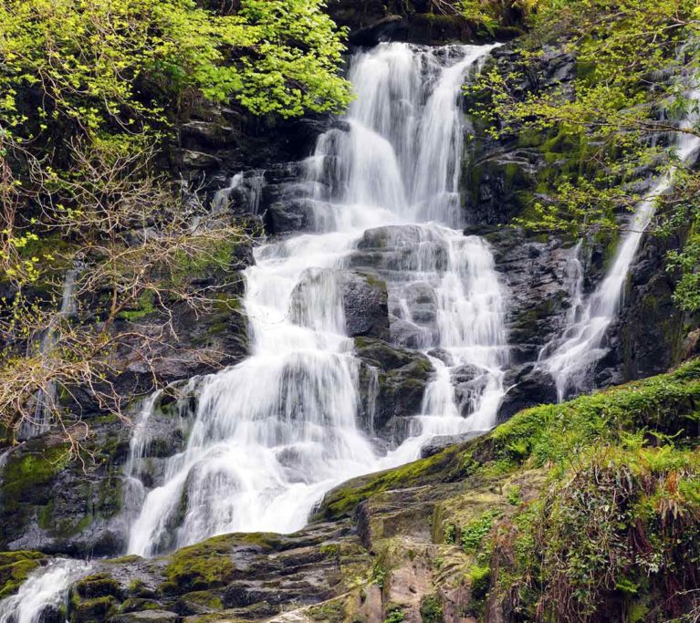 Muckross House | Tourist Attraction In Killarney | The Ross Hotel